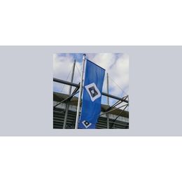 HSV Fahne HSV Hissfahne "Arena" neu
