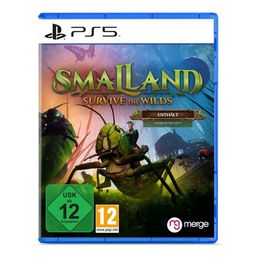 WILD RIVER Smalland: Survive the Wilds Playstation 5