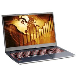 Captiva Business-Notebook "Power Starter R71-729" Notebooks Gr. 16 GB RAM 2000 GB SSD, silberfarben 15" Notebook