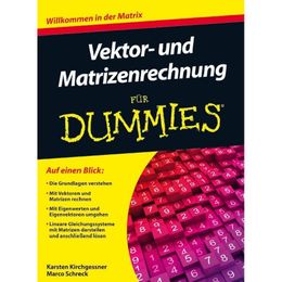 Vektor- und Matrizenrechnung für Dummies - Karsten Kirchgessner, Marco Schreck, Kartoniert (TB)