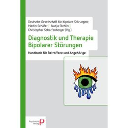 Diagnostik und Therapie Bipolarer Störungen, Kartoniert (TB)