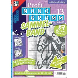 Profi-Nonogramm Sammelband Nr. 13 - Conceptis Puzzles, Kartoniert (TB)