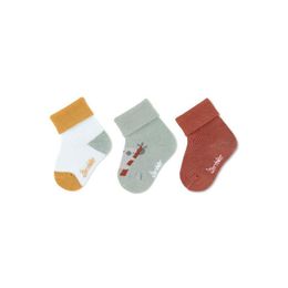 Sterntaler® Feinsöckchen Baby-Socken Koala