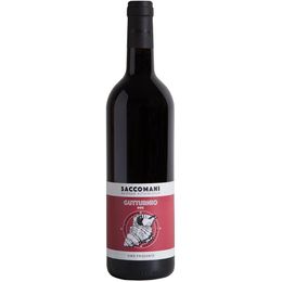 Saccomani Vini 2022 Gutturnio DOC trocken