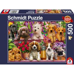Schmidt Spiele Hunde im Regal (Puzzle)