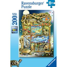 RAVENSBURGER VERLAG Puzzle REPTILIEN IM REGAL (200 Teile)