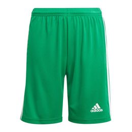 adidas Performance Sporthose Squadra 21 Short Kids