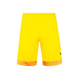 Puma Trainingsshorts CUP Short Herren