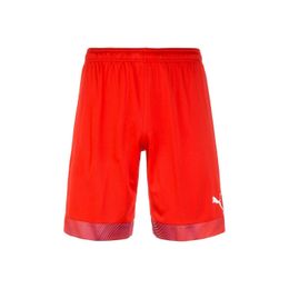 Puma Trainingsshorts CUP Short Herren