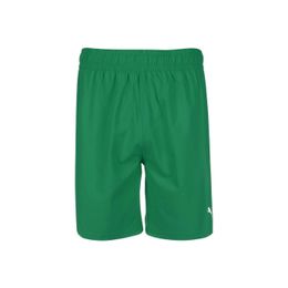 Puma Trainingsshorts teamFINAL Shorts Herren