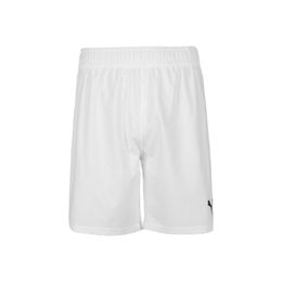 Puma Trainingsshorts teamFINAL Shorts Herren