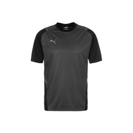 Puma Trainingsshirt TeamCUP Trainingsshirt Herren