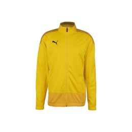 Puma Sweatjacke TeamGOAL 23 Trainingsjacke Herren