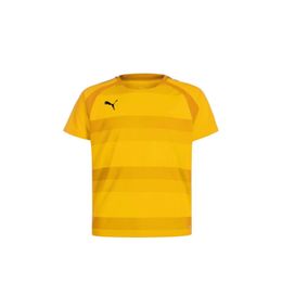 Puma Fußballtrikot teamVISION Trikot Kinder