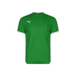 Puma Fußballtrikot TeamLIGA Fußballtrikot Herren