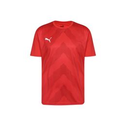 Puma Fußballtrikot TeamGlory Fußballtrikot Herren