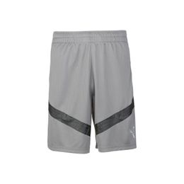 Puma Trainingsshorts teamFINAL Trainings Shorts Herren