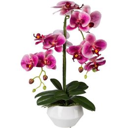 Kunstpflanze Orchidee, Creativ green, Höhe 52 cm, rosa