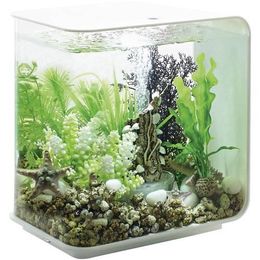 Oase 72030 Aquarium biOrb FLOW 15 LED weiß 15 l mit LED-Beleuchtung