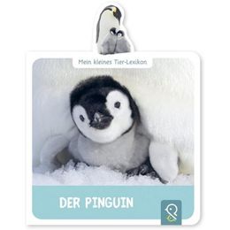 Mein kleines Tier-Lexikon - Der Pinguin - Hannah Kastenhuber, Gebunden