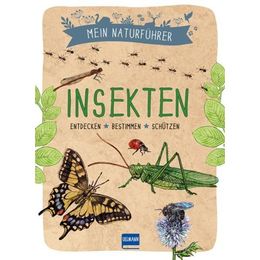 Mein Naturführer - Insekten - Xavier Japiot, Kartoniert (TB)