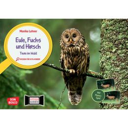 Eule, Fuchs und Hirsch. Tiere im Wald - Monika Lehner, Box