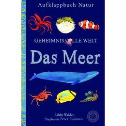 360grad Geheimnisvolle Welt - Das Meer - Libby Walden, Stephanie Fizer Colemann, Gebunden