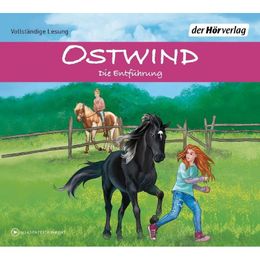 Ostwind - Die Entführung,3 Audio-CD - Rosa Schwarz (Hörbuch)