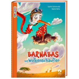 Barnabas der Wolkenschaufler - Sophie Schoenwald, Gebunden