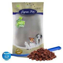 5 kg LYRA PET® Rindfleischwürfel + Ballschleuder