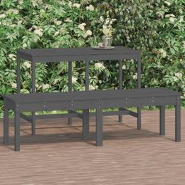 Gartenbank 2-Sitze Doppelsitzbankr Grau 159,5x44x45 cm Massivholz Kiefer vidaXL