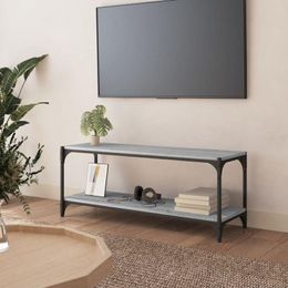 Bonnevie - TV-Schrank,TV-Möbel Grau Sonoma 100x33x41 cm Holzwerkstoff und Stahl vidaXL