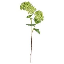 Kunstpflanze Schneeballzweig I in Grün/Weiß