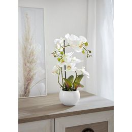 Kunstorchidee Ernestine Orchidee, Home Affaire, Höhe 42 cm, Kunstpflanze, im Topf, weiß