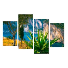Bilderdepot24 Leinwandbild Aloe Vera Pflanze
