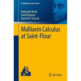 Springer Malliavin Calculus at Saint-Flour - Nobuyuki Ikeda, David Nualart, Daniel Stroock, Kartoniert (TB)