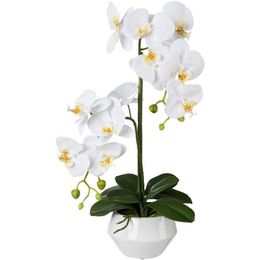 Kunstpflanze Orchidee, Creativ green, Höhe 52 cm, weiß