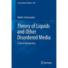 Springer Theory of Liquids and Other Disordered Media - Walter Schirmacher, Kartoniert (TB)