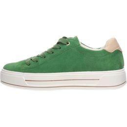 Ara® Sneaker, Leder, für Damen, grün, 37