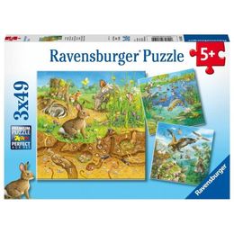 RAVENSBURGER VERLAG Ravensburger Kinderpuzzle - 08050 Tiere in ihren Lebensräumen - Puzzle für Kinder ab 5 Jahren, mit 3x49 Teilen