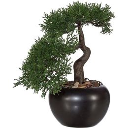 Kunstbonsai Bonsai Zeder im Keramiktopf Bonsai Zeder, Creativ green, Höhe 25 cm, grün