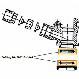 ich-zapfe O-Ring für 5/8 Stößel für Keg - Verschluss (Korb-Fitting) (Micro Matic und Hiwi)