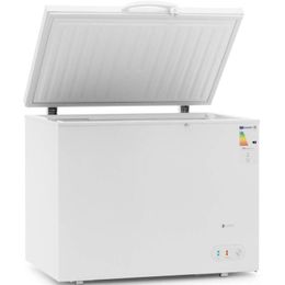 ROYAL CATERING Tiefkühltruhe 269 l Gefriertruhe Tiefkühler Froster Tiefkühlschrank 63 w R600a