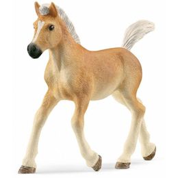 Hc Haflinger Fohlen 13951 (13951) - Schleich