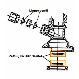 ich-zapfe O-Ring für 5/8 Stößel für Keg - Verschluss (Flach- und Kombi-Fitting) (Micro Matic und Hiwi)
