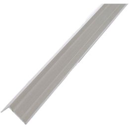 Treppenkantenprofil Vinyl, Laminat, selbstklebend, Winkelprofil aus Aluminium eloxiert - Silber 200cm x 25mm x 10mm - Silber - Dalsys