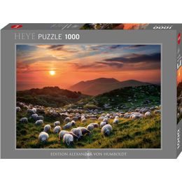 Heye Puzzle Sheep and Volcanoes /AvH, 1000 Puzzleteile, Made in Germany, bunt