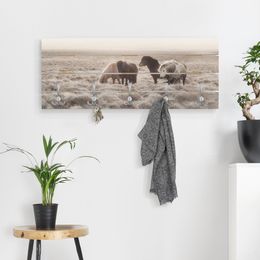 Bilderwelten Wandgarderobe Island Wildpferde