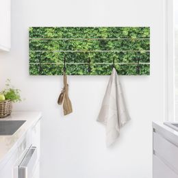Bilderwelten Wandgarderobe gr&uuml;n Tropisch Flurgarderobe - Efeu - Pflanzen Garderobenpaneel Flur
