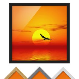 Bild mit Rahmen Fabulous Sunset - gerahmte Wandbilder Print Natur Strand Wohnzimmer Schlafzimmer Bad Badezimmer K&uuml;che Flur Esszimmer